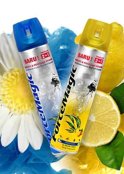 Antis - Enesis Group