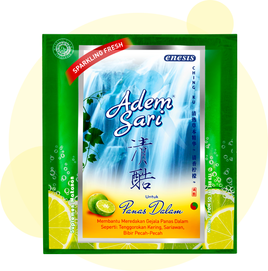 Adem Sari - Enesis Group