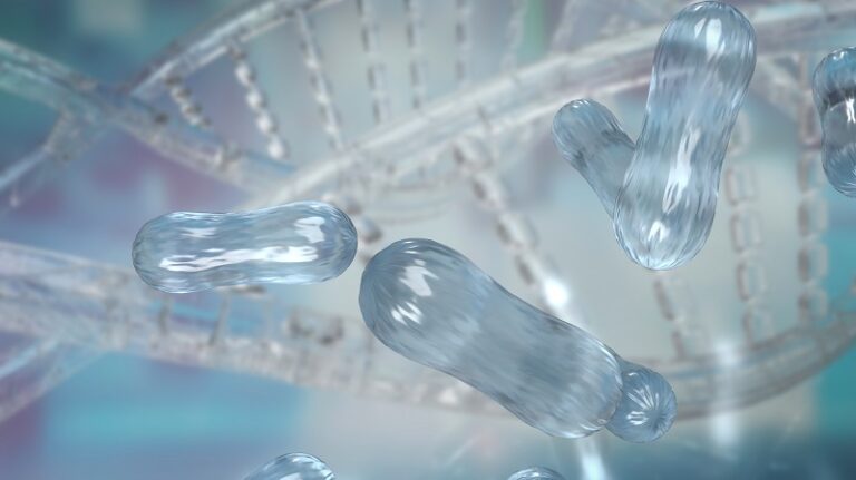 Infeksi Salmonella: Gejala, Penyebab, dan Cara Pengobatannya